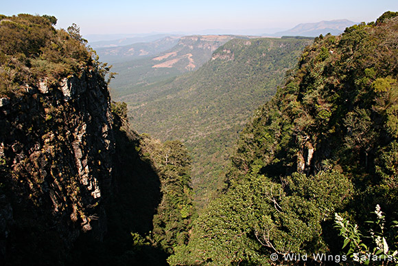 Panorama Route | Mpumalanga | South Africa